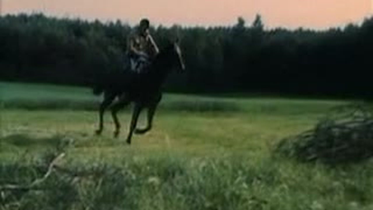 Top 20 – filmy o koniach - Filmy, Kino OldCamera.pl