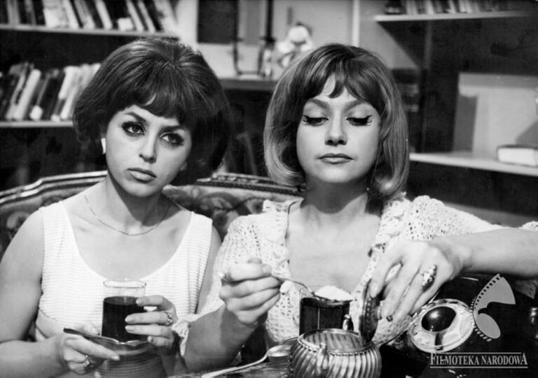 30 Best Polish Comedies - Filmy, Kino OldCamera.pl